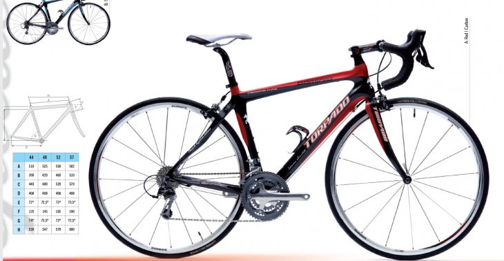 Prodám: Prodám silniční kolo Torpado Dominio, velikost 48 - bazar ...