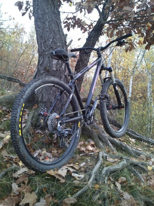 DMR Trailstar II - Fotky - Bike-forum.cz