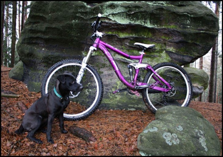 Agang Trinity 2.0 Upgrade - Fotky - Bike-forum.cz