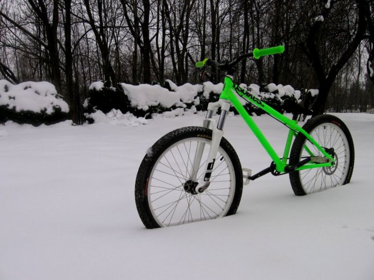 NS Holy 24" - Fotky - Bike-forum.cz