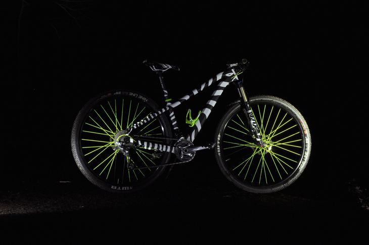 Zebra bike - Fotky - Bike-forum.cz