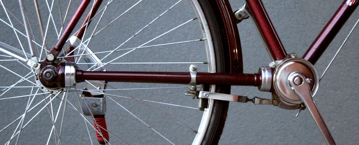 Chainless Eagle SVB 100 - Fotky - Bike-forum.cz