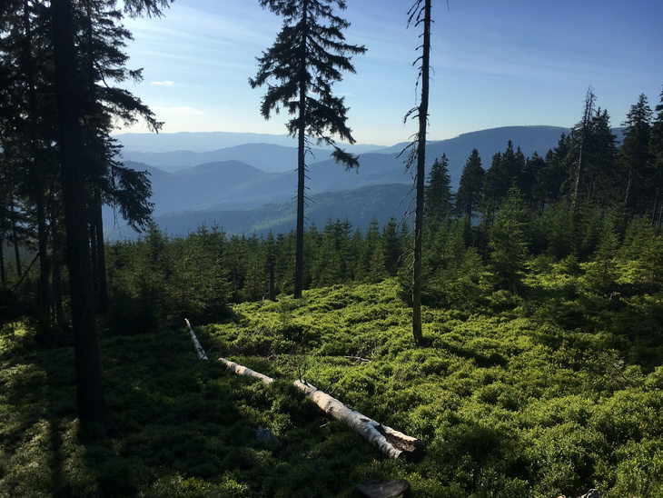 Jeseníky a Broumovsko - Fotky - Bike-forum.cz