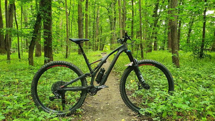 Stumpy - Fotky - Bike-forum.cz