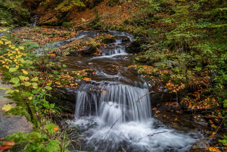Podzimní Jeseníky - Fotky - Bike-forum.cz