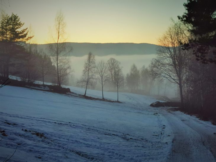 Zima - Fotky - Bike-forum.cz